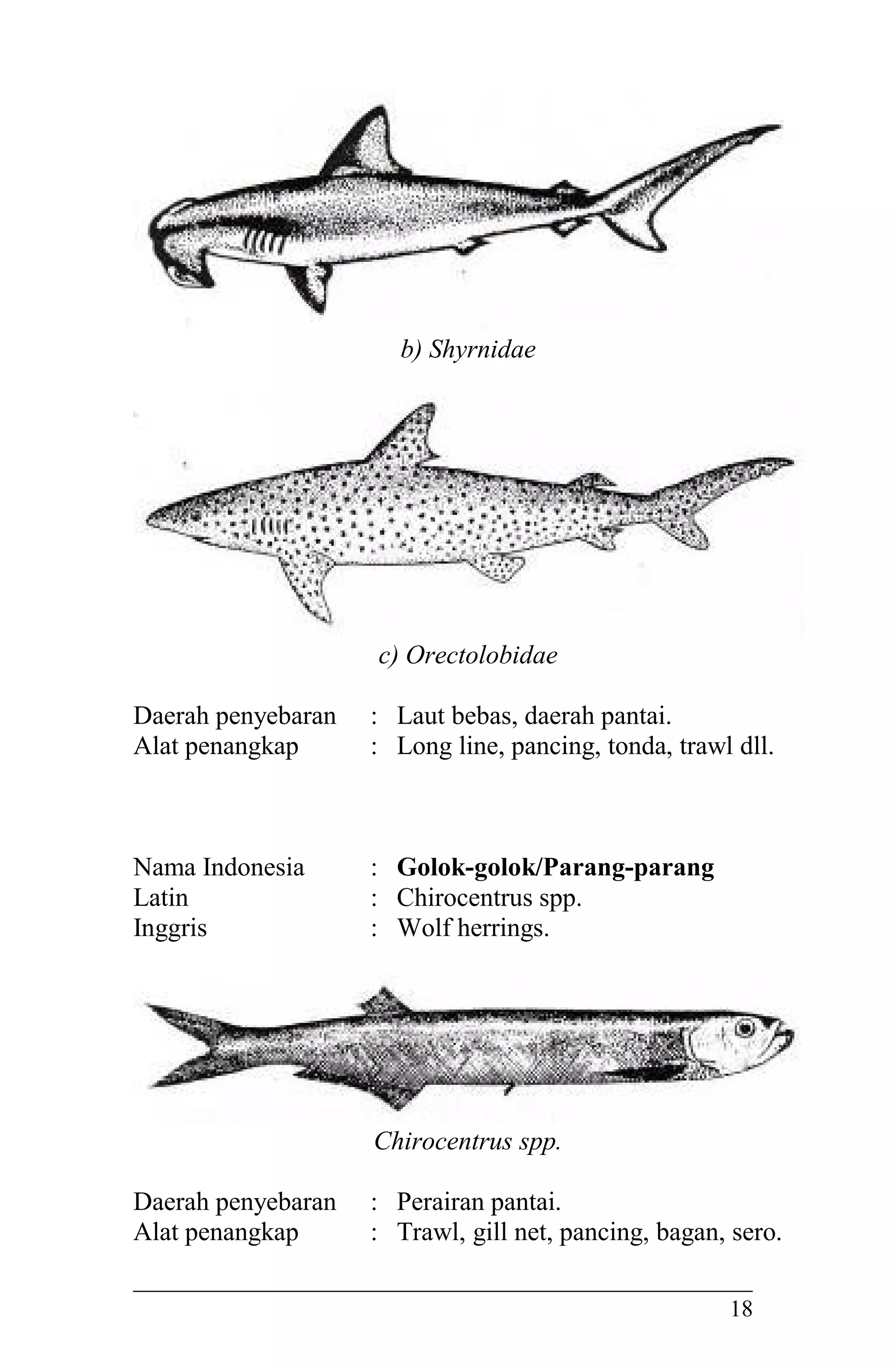 Alat tangkap-jenis-ikan-dan-obat | DOC