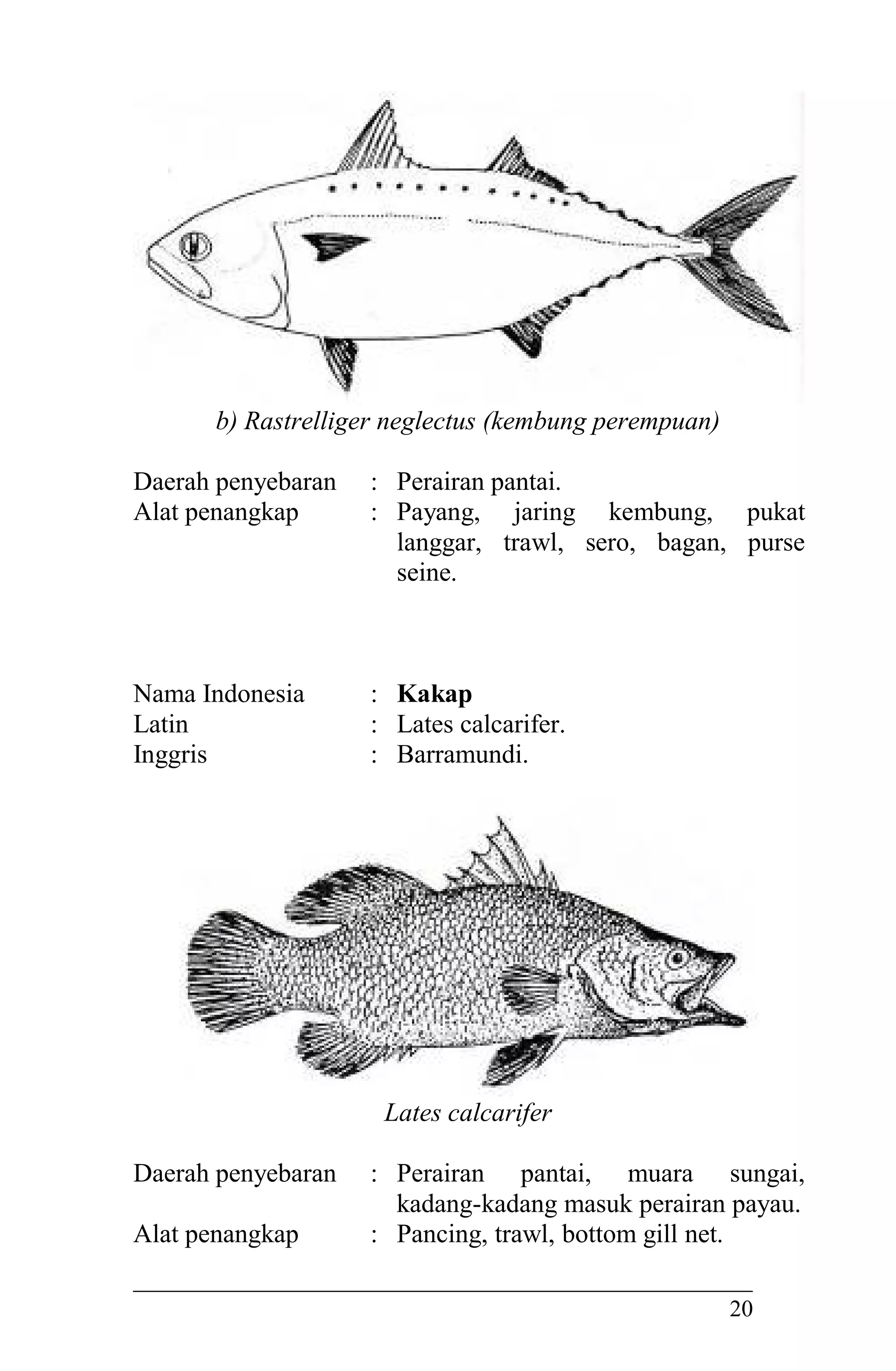 Alat tangkap-jenis-ikan-dan-obat | DOC