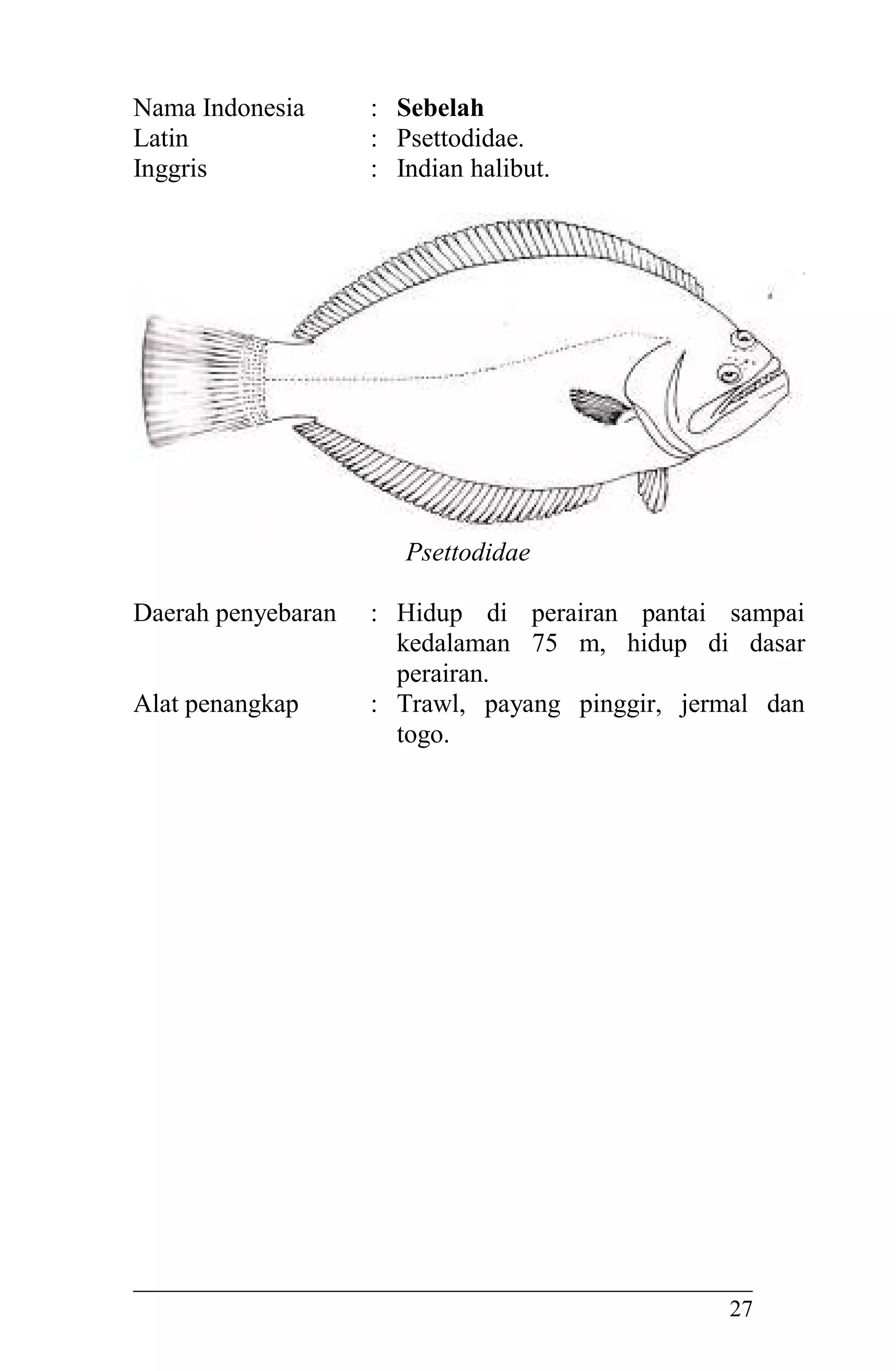 Alat tangkap-jenis-ikan-dan-obat | DOC