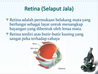 Alat – alat optik | PPTX