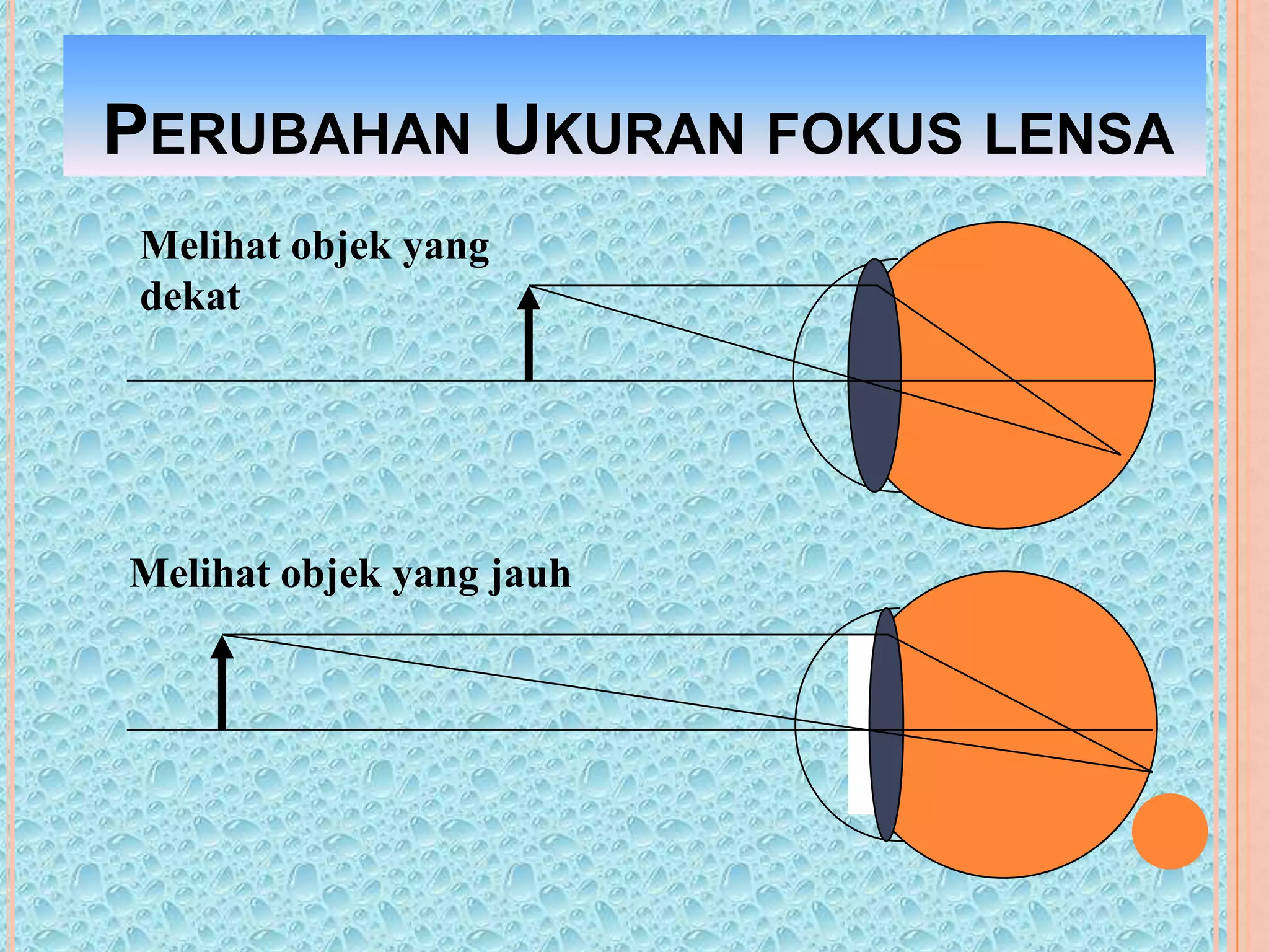 Alat Alat Optik | PPTX