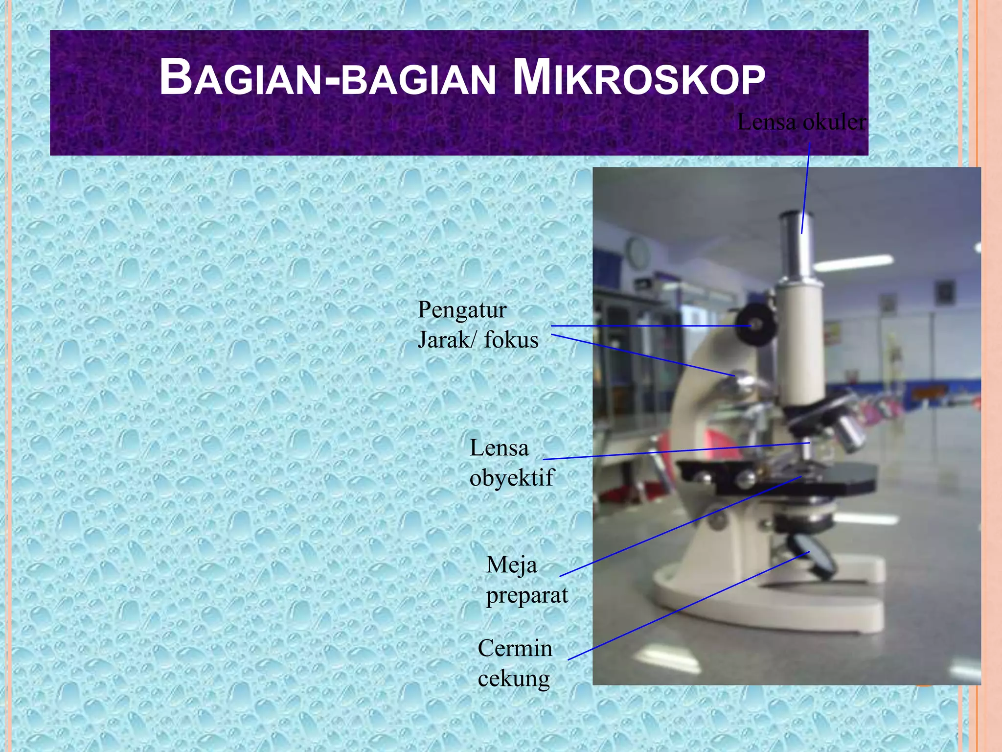 Alat Alat Optik | PPTX