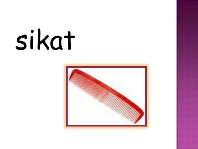 Alatan membersih diri | PPTX