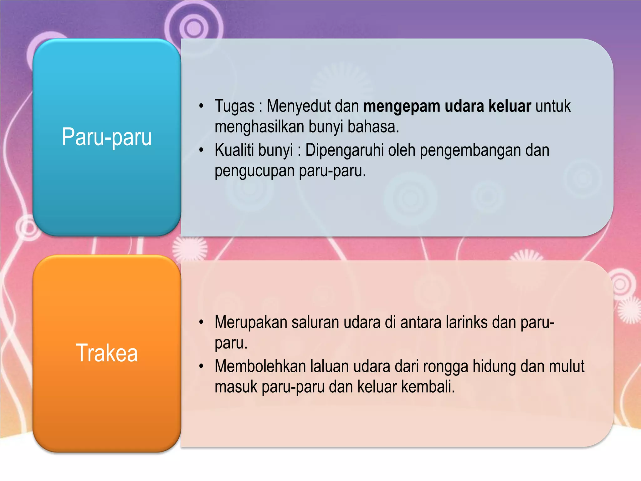 FONETIK DAN FONOLOGI : ALAT-ALAT ARTIKULASI | PDF