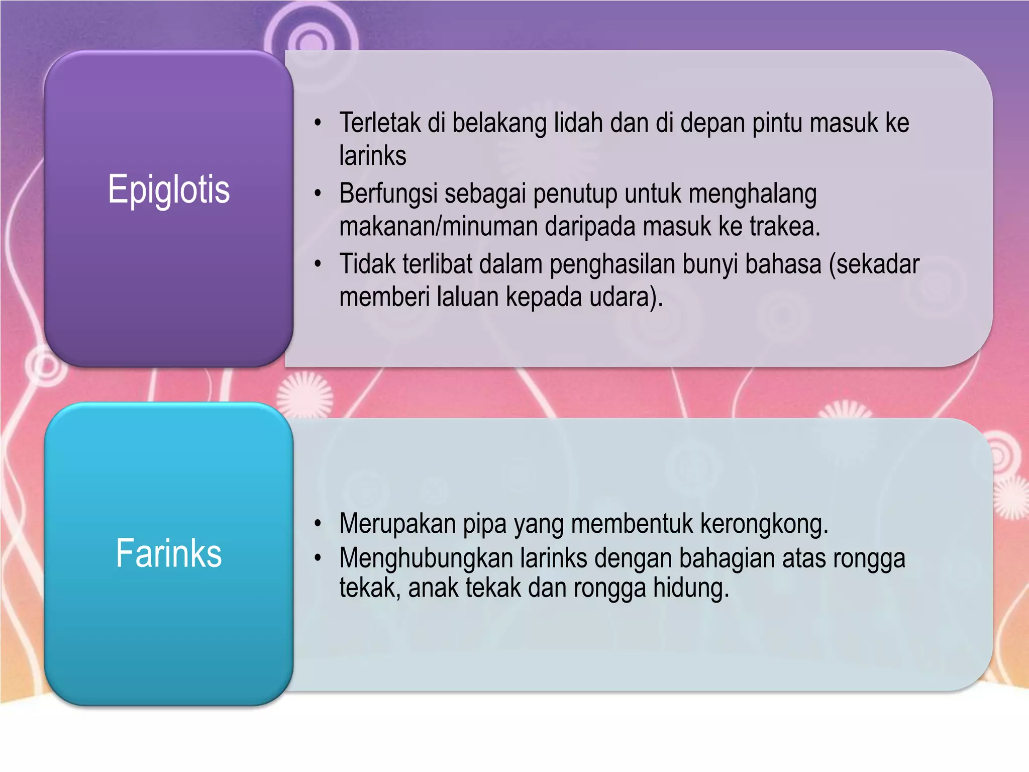 FONETIK DAN FONOLOGI : ALAT-ALAT ARTIKULASI | PDF