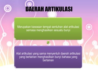 FONETIK DAN FONOLOGI : ALAT-ALAT ARTIKULASI | PDF
