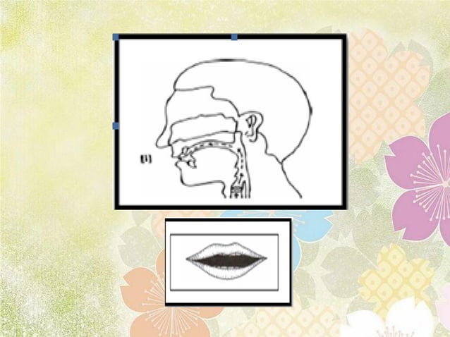 FONETIK DAN FONOLOGI : ALAT-ALAT ARTIKULASI | PDF