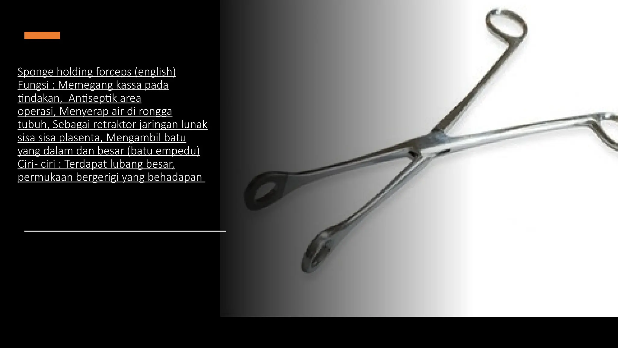 alat bedah.pptxaaaaaaaaaaaaaaaaaaaaaaaaaaaaaaaaaaaaaaaaaa | PPTX