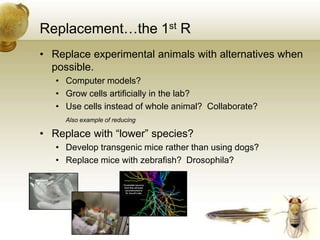 AALAS ALAT Chapter 1 History | PPT