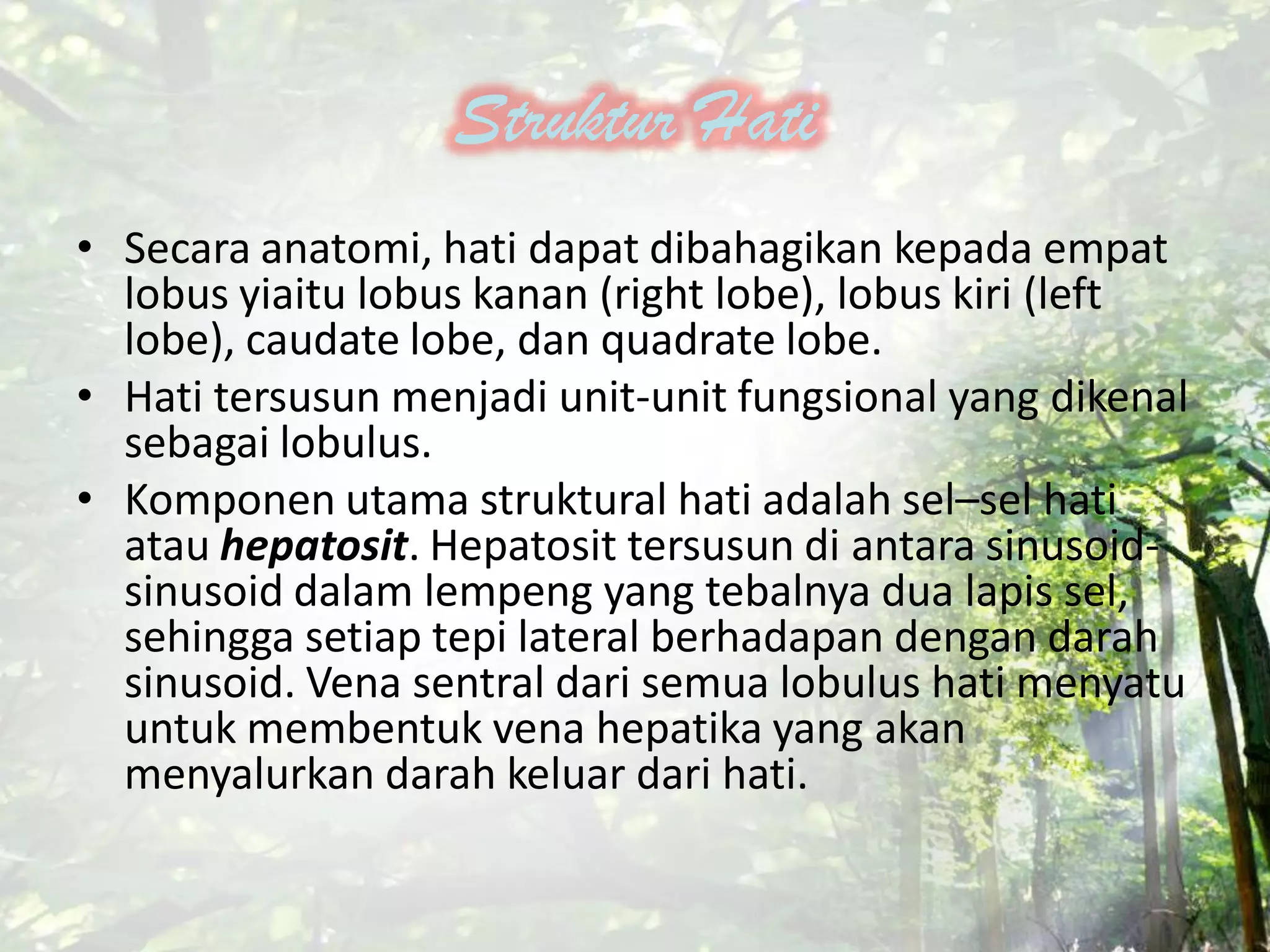 Alat Ekskresi Manusia | PDF