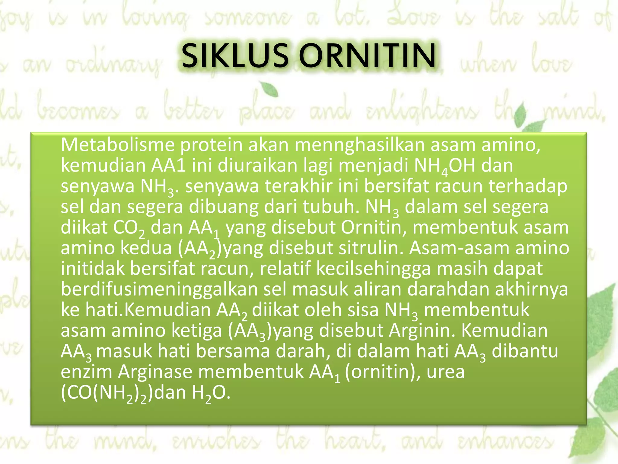 Alat Ekskresi Manusia | PDF