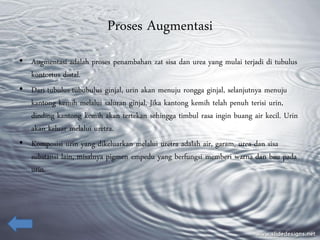 Alat Ekskresi Manusia | PPT
