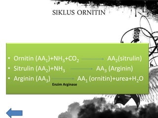 Alat Ekskresi Manusia | PPT