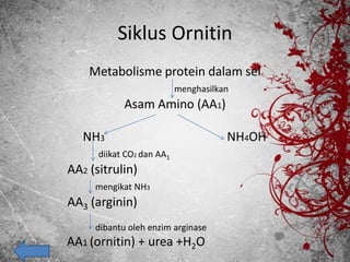 Alat Ekskresi Manusia | PPT