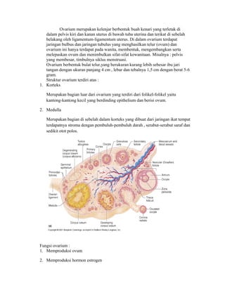 Alat genetalia interna (tgs bu jati) | DOC
