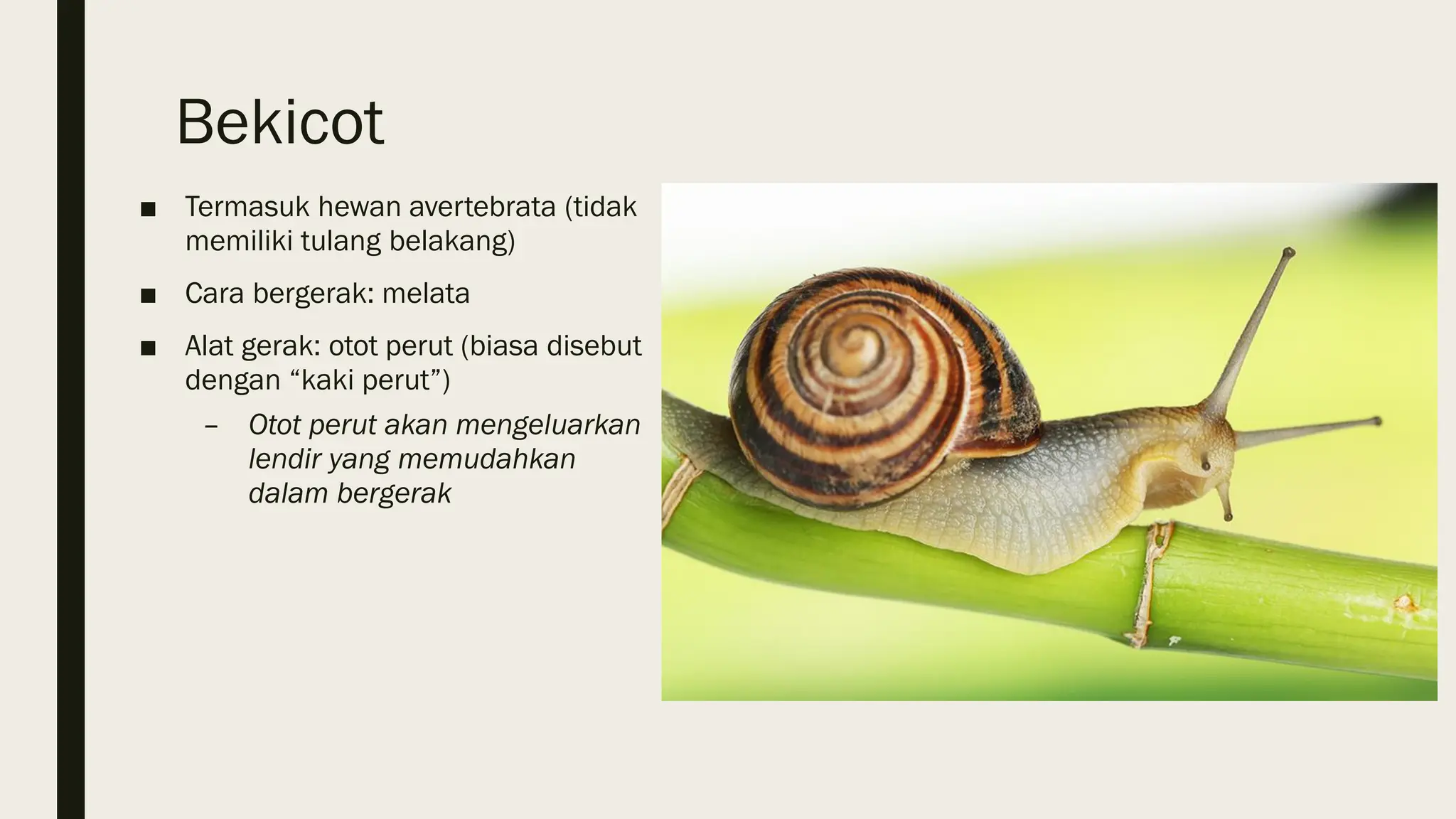 Alat Gerak Hewan dan Manusia.pdf