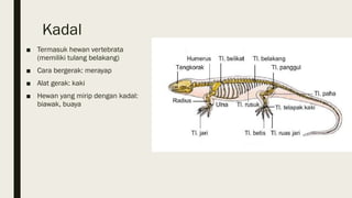 Alat Gerak Hewan dan Manusia.pdf