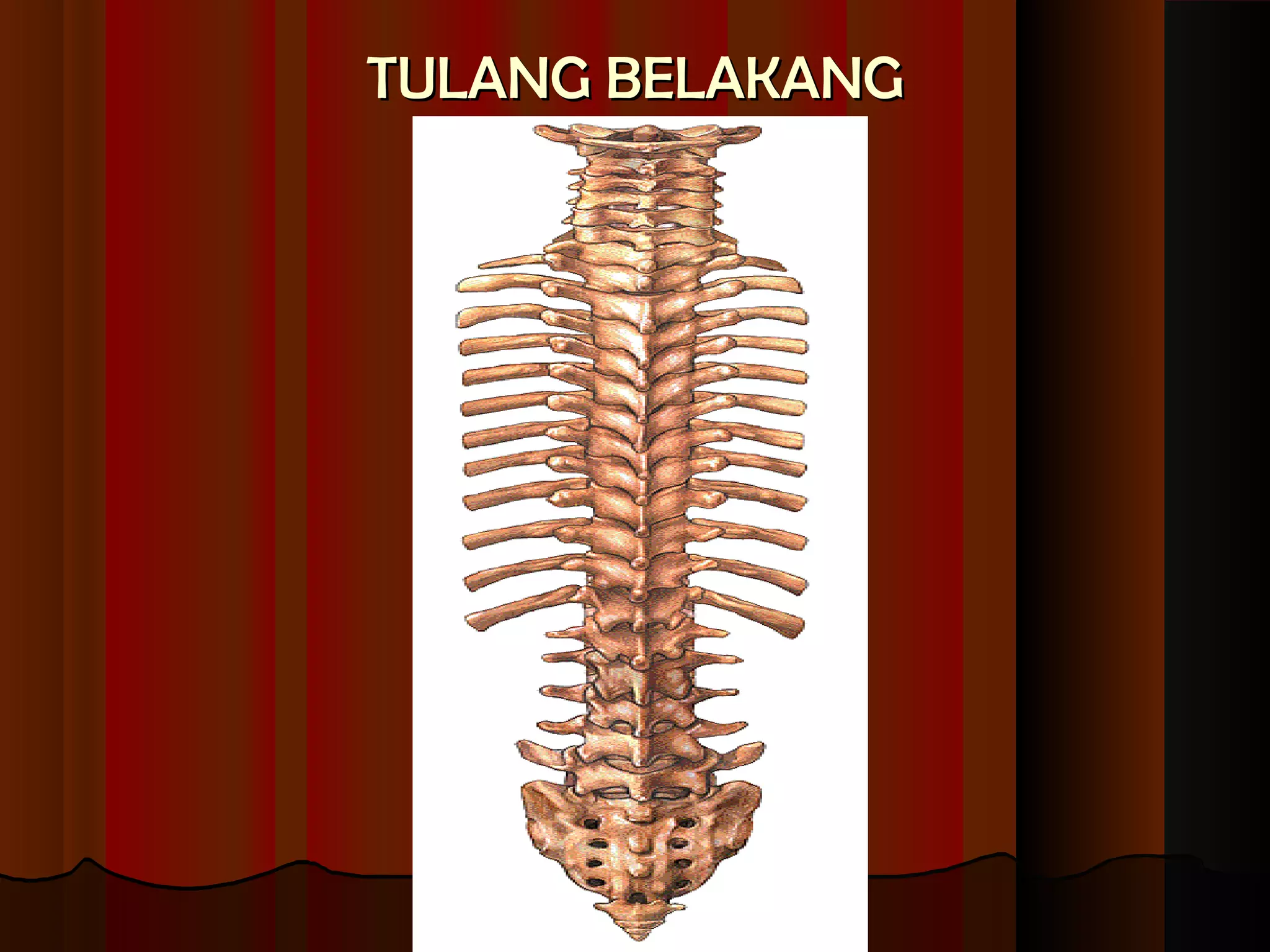 Alat gerak manusia | PPT