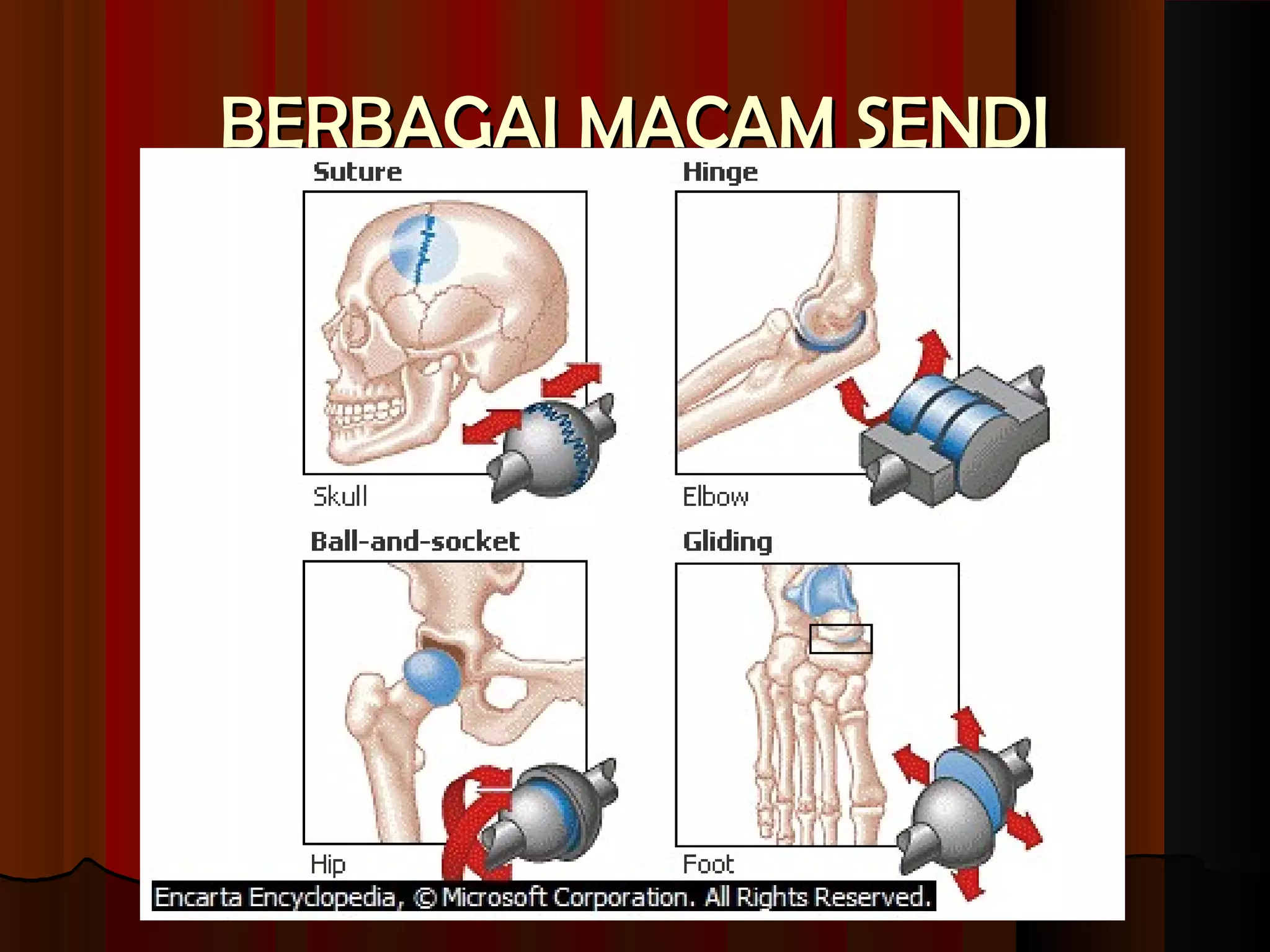 Alat gerak manusia | PPT