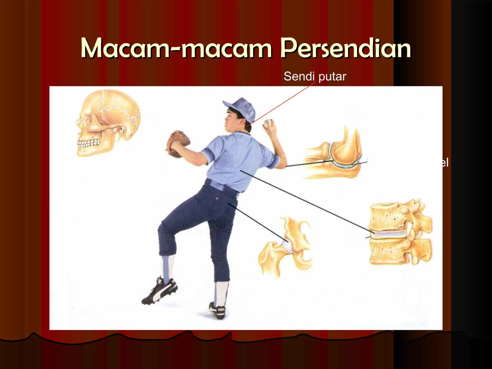 Alat gerak manusia | PPT