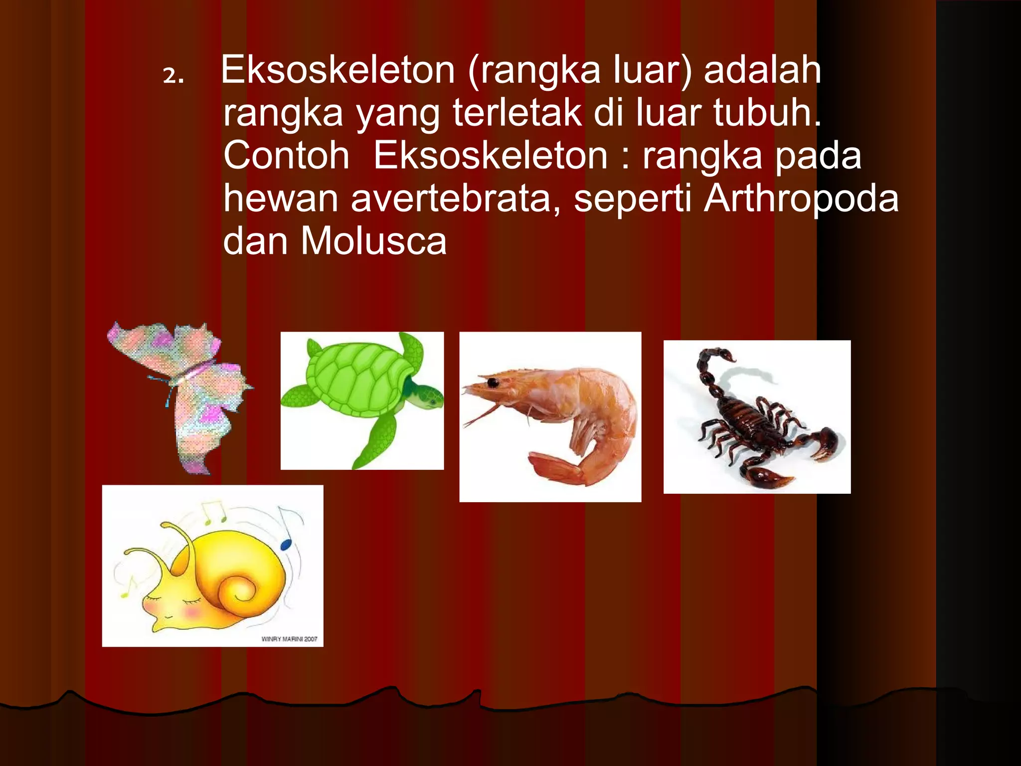 Alat gerak manusia | PPT