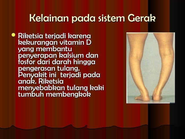 Alat gerak manusia | PPT