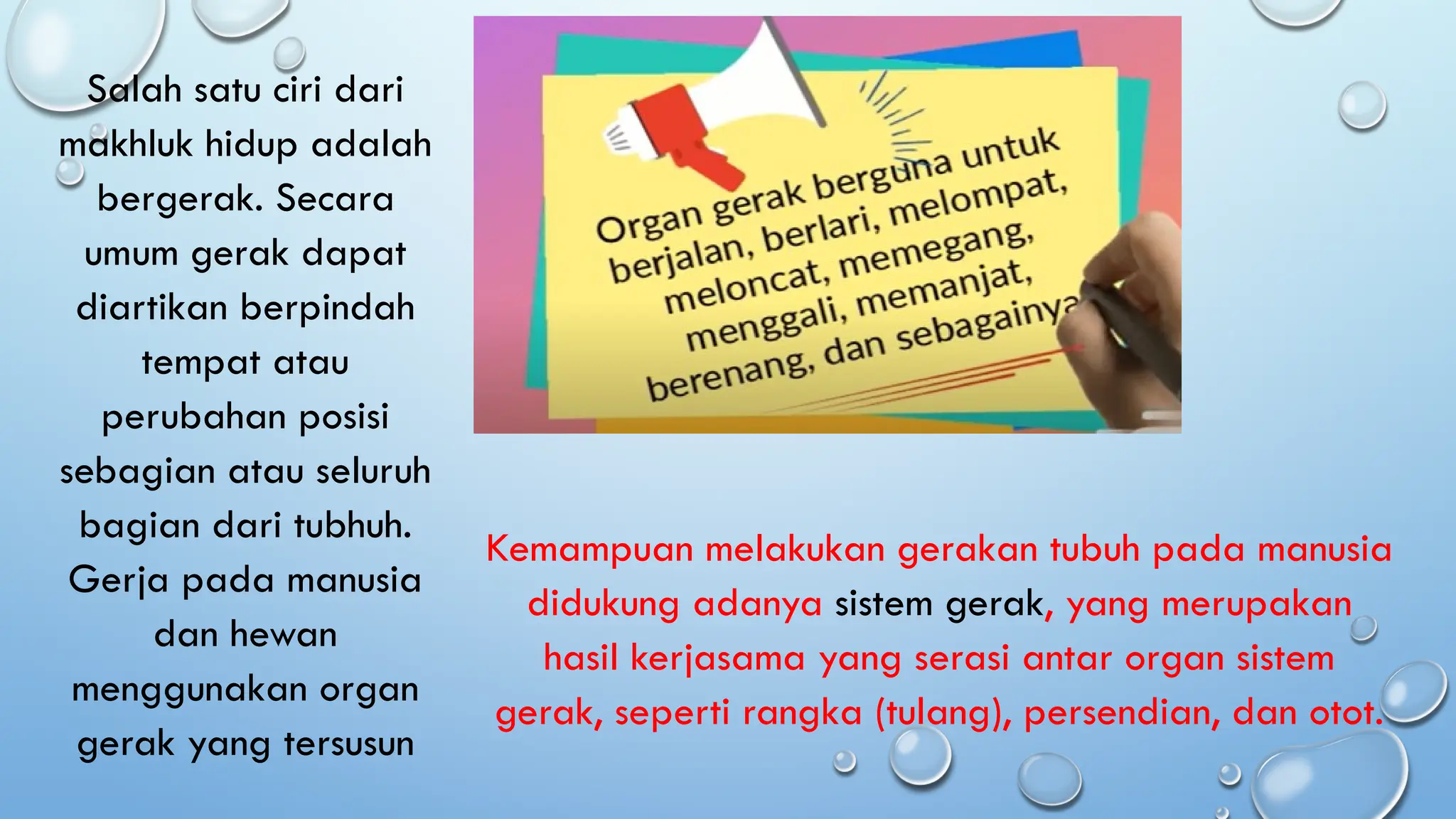 Alat Gerak Pada Manusia power point.pptx