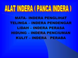 Alat indera | PPT