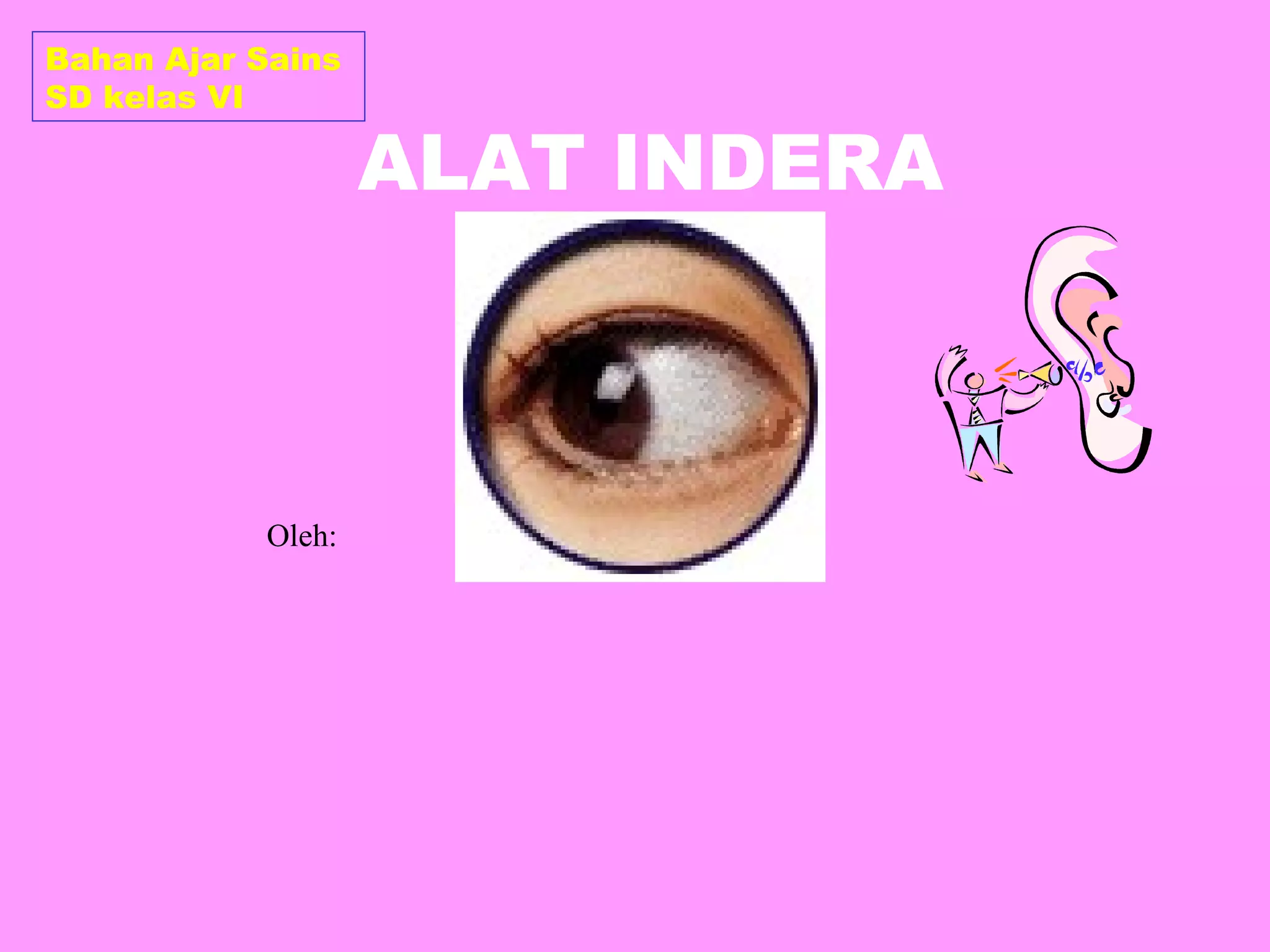 Alat indera[1] | PPT