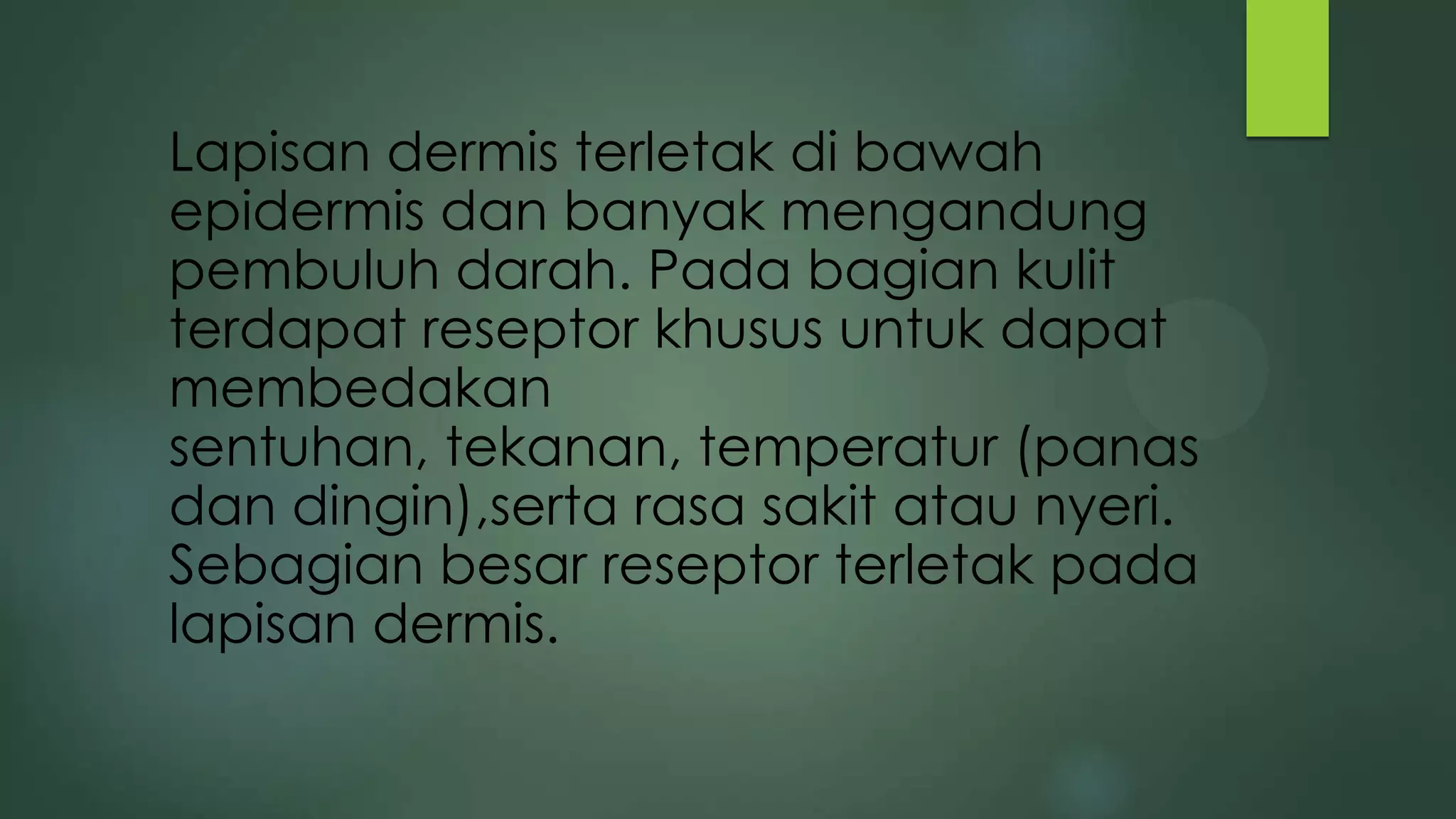 Alat indera peraba (kulit) | PPTX