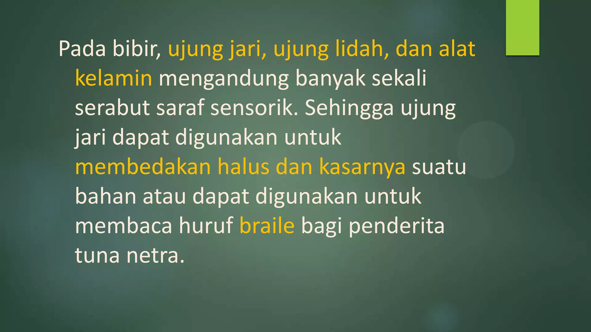 Alat indera peraba (kulit) | PPTX