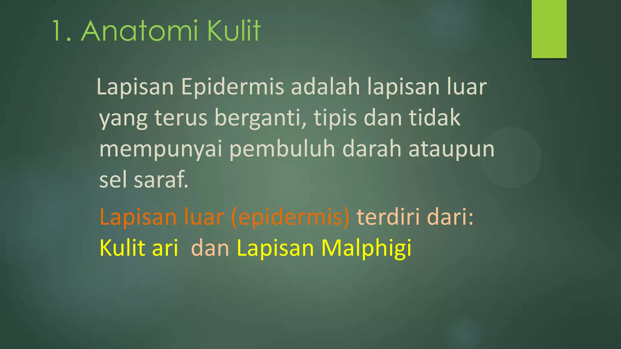 Alat indera peraba (kulit) | PPTX