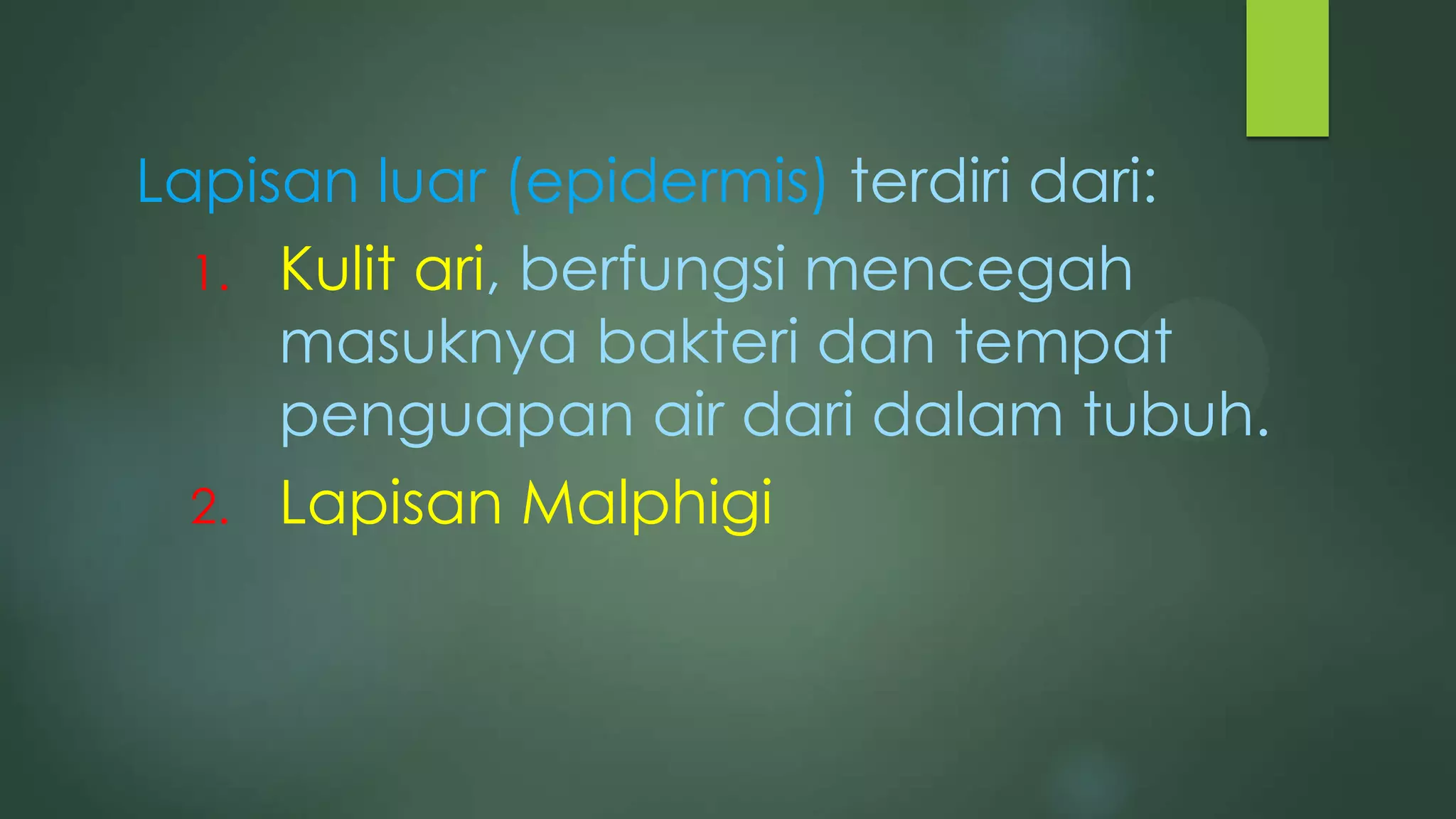 Alat indera peraba (kulit) | PPTX