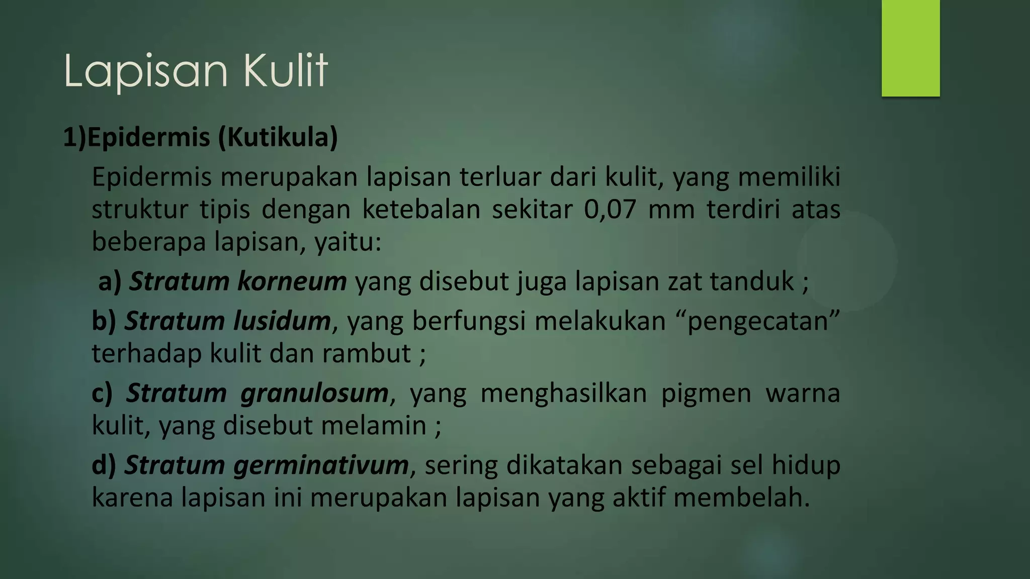 Alat indera peraba (kulit) | PPTX