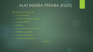 Alat indera peraba (kulit) | PPTX