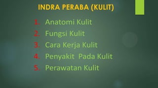 Alat indera peraba (kulit) | PPTX