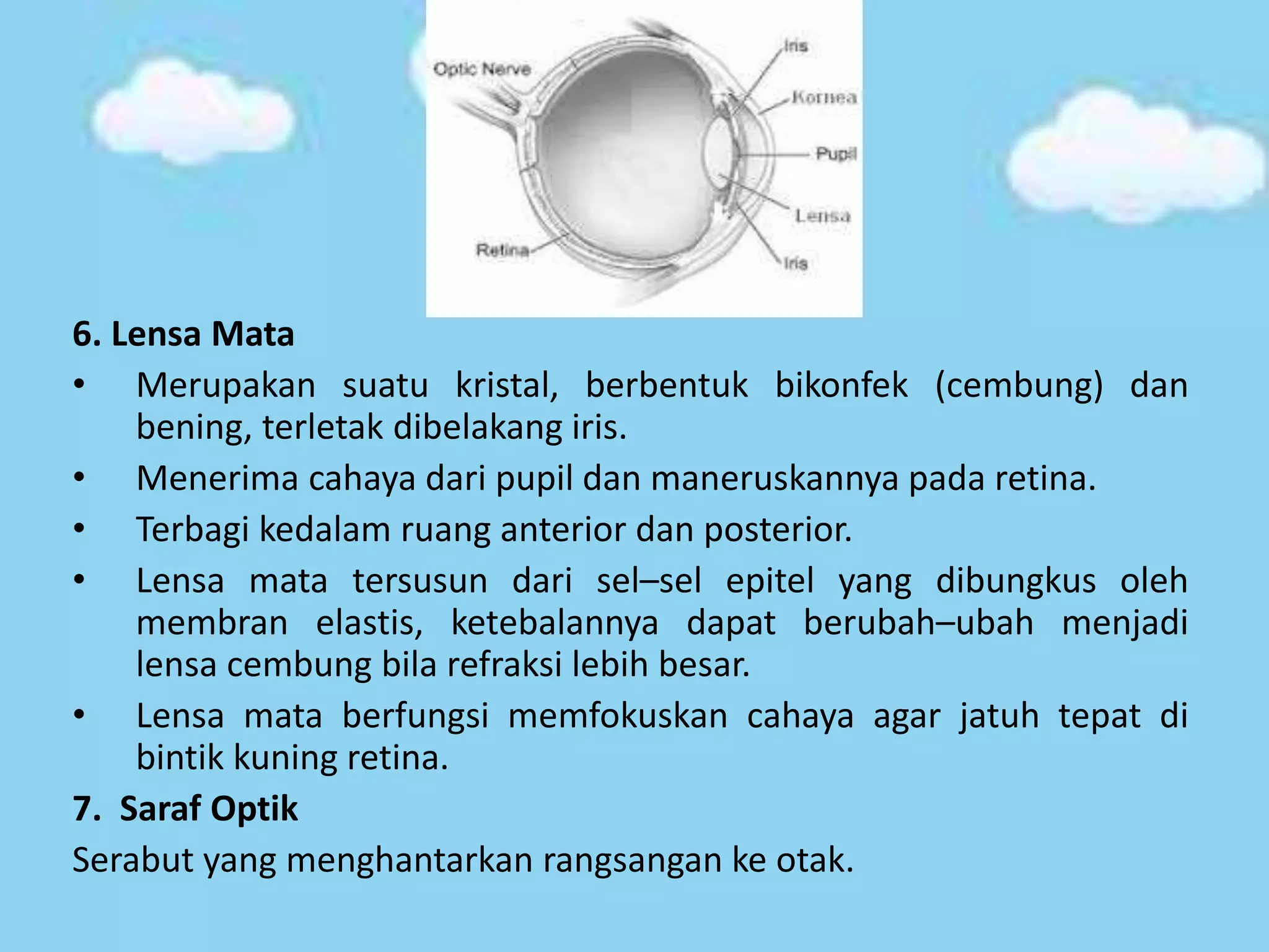 Alat indra | PPT