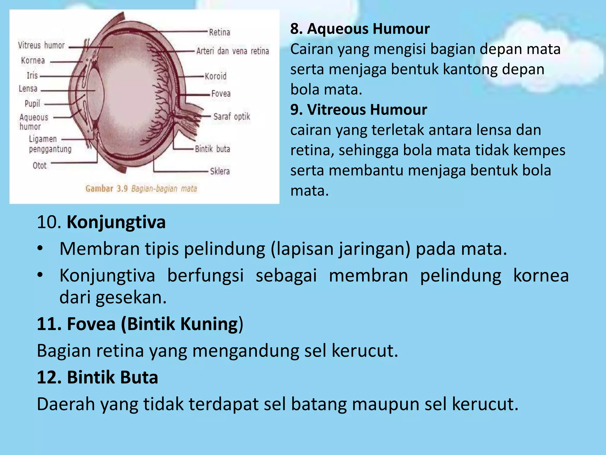 Alat indra | PPT