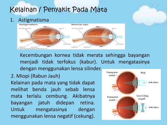 Alat indra | PPT