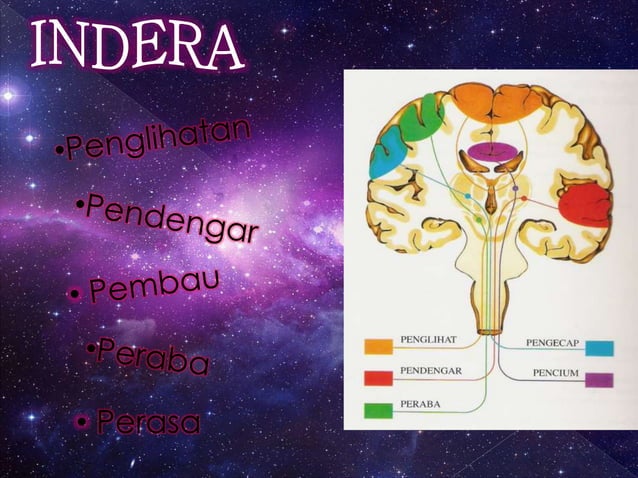 Alat indra | PPT