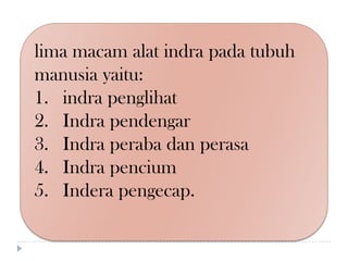 Alat indra 2 | PPT