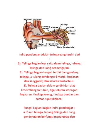 Alat indra manusia | DOCX