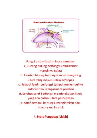 Alat indra manusia | DOCX