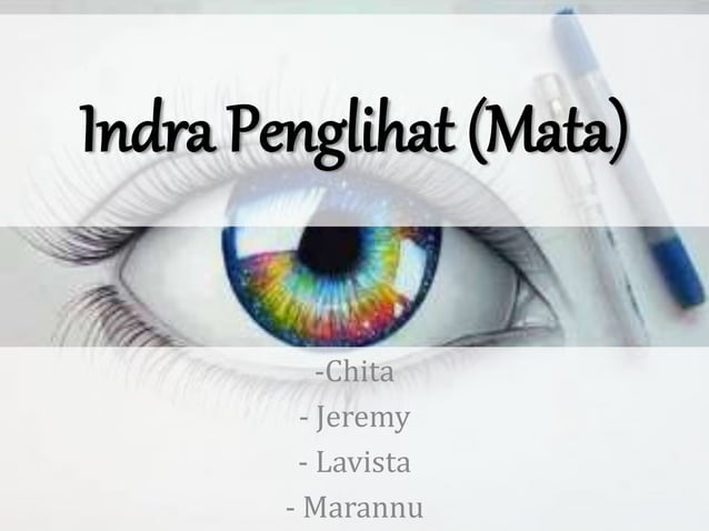 Alat indra mata | PPTX