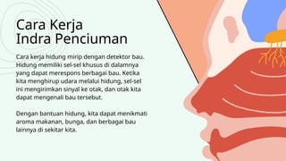 materi ipa kelas 9 alat indra pada manusia | PPTX