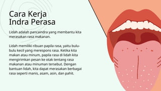 materi ipa kelas 9 alat indra pada manusia | PPTX