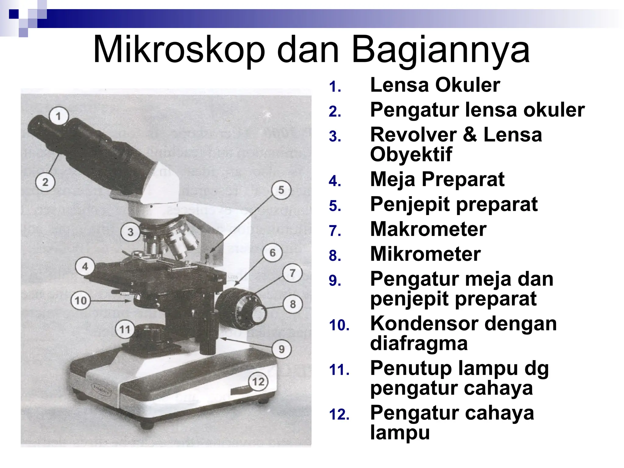 ALAT LABORATORIUM DAN MIKROSKOP DALAM LINGKUNGAN SEKOLAH.ppt