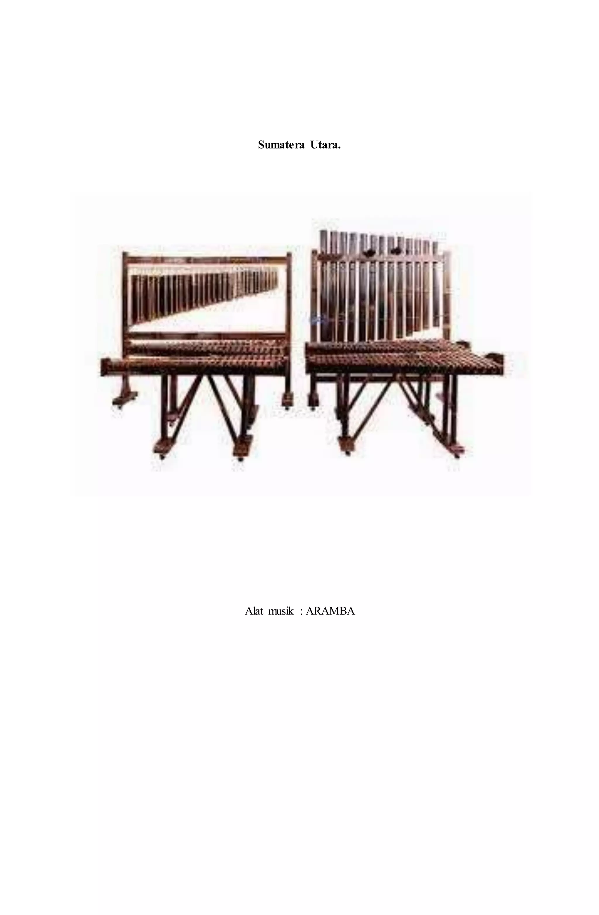 Alat musik tradisional dari setiap provinsi indonesia | DOCX