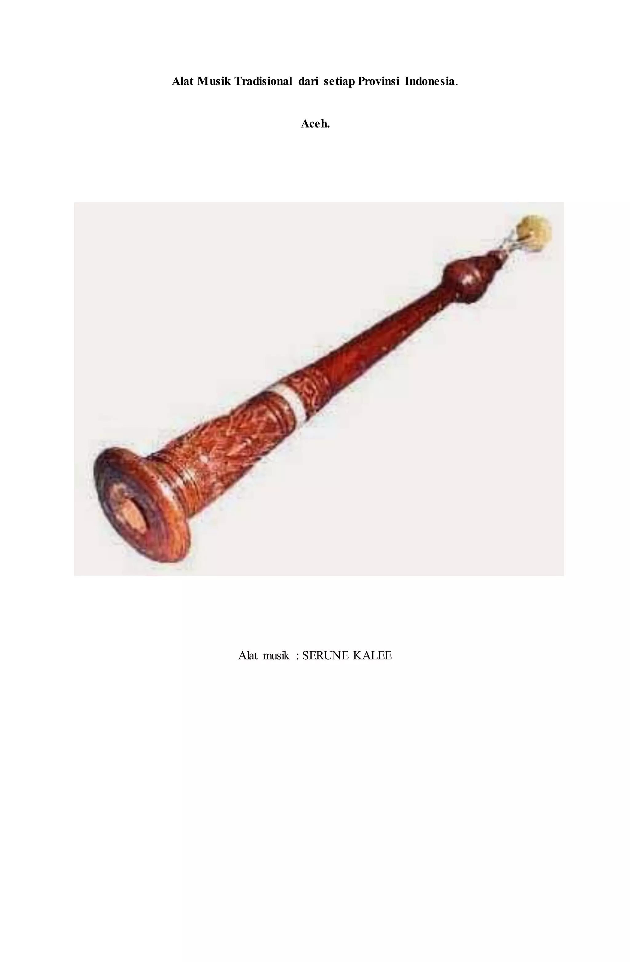 Alat musik tradisional dari setiap provinsi indonesia | PDF