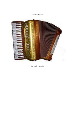 Alat Musik Tradisional Sumatera Selatan Accordion